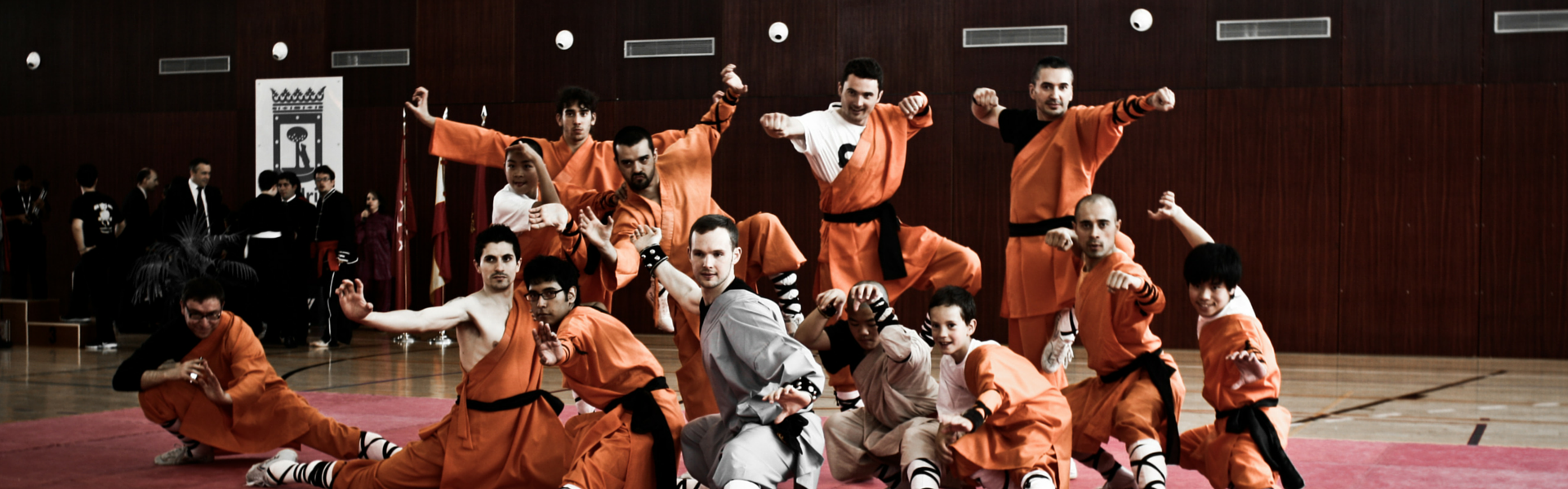 Why You Should Try Kung Fu?