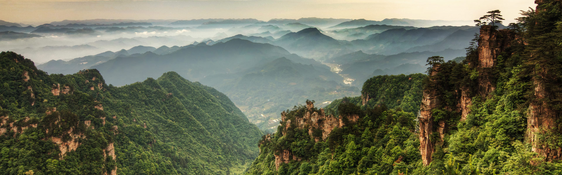Forestry Tourism in China is Booming