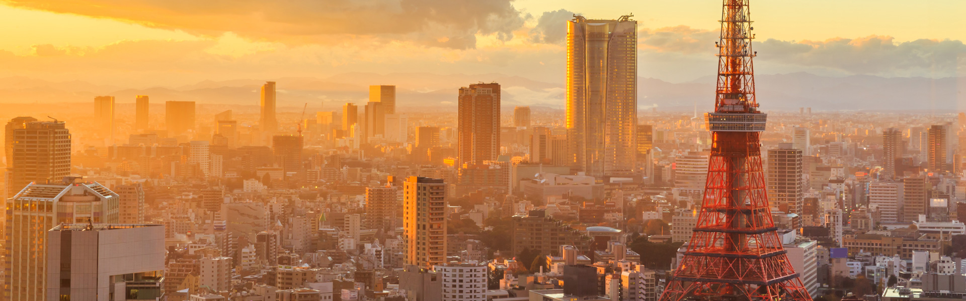 Japan Reveals Design for 2020 Olympic Stadium