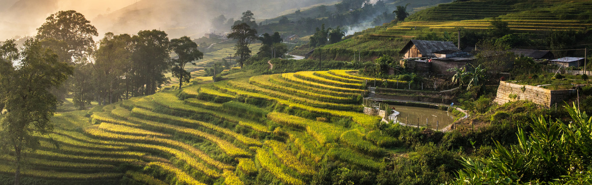 Spectacular Rice Fields of Vietnam