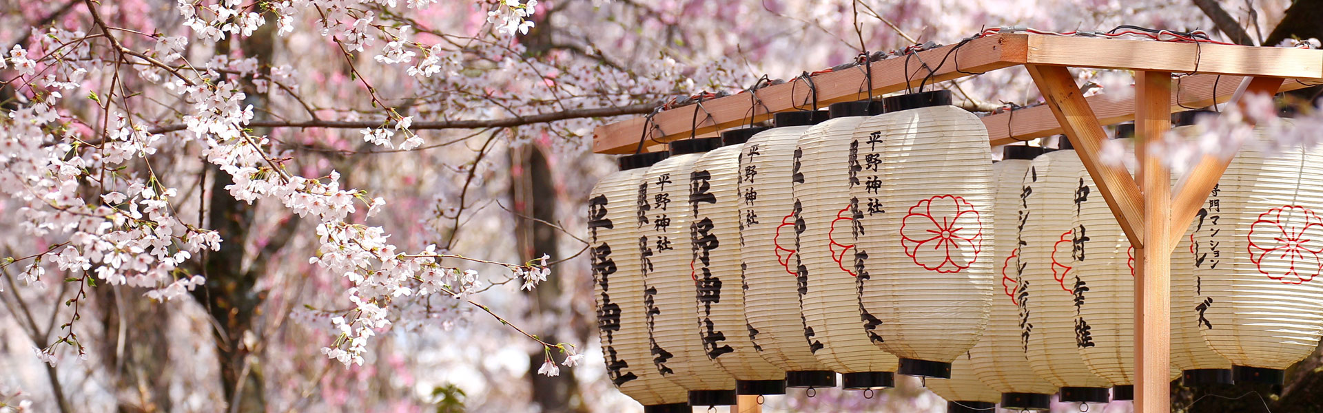 Festivals and Celebrations in Japan