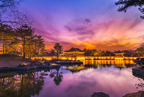 Seoul Tour Packages | Holiday & Vacation Packages