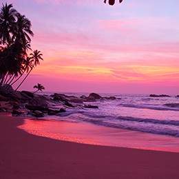 India Tours | Escorted Group Tours and Private Tours | Wendy Wu Tours